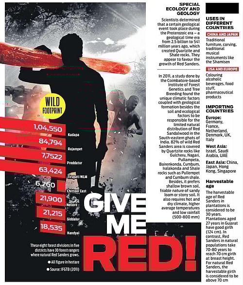 Give me red: India exits international negative list of Red Sanders ...