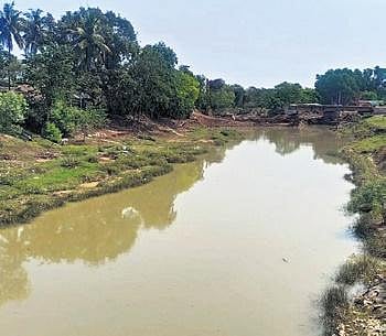 Odisha farmers demand flood control measures in Jalaka river