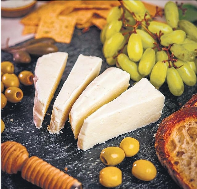 A wild cheese chase: The story of Panchal Dairy