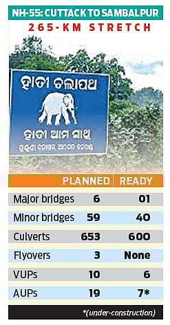 Road set for NH-55 as 12 underpasses get the nod