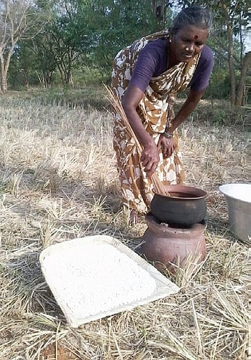 Why Take Oats When Nel Pori is Here