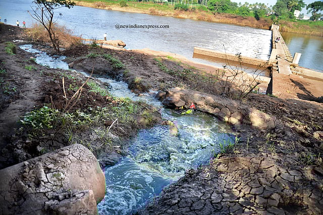 Rivers of filth flow into the Krishna at Sangli