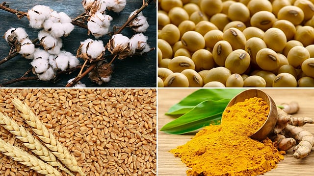 Agrowon - Latest Agriculture News in Marathi | कृषीविषयक बातम्या