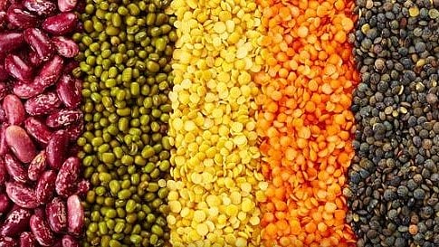 Pulses Market : सरकारमुळे कडधान्य उत्पादकांची कोंडी|The Struggle of ...