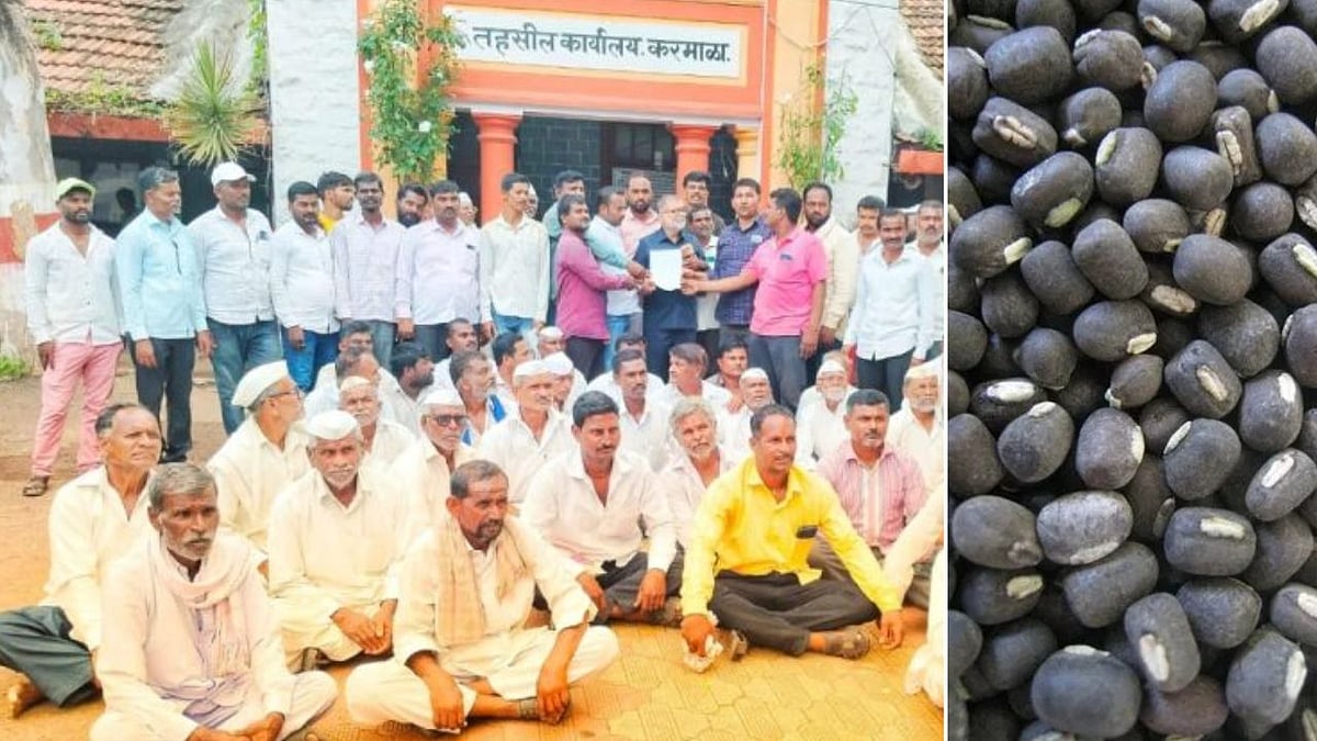Udid Market|करमाळा बाजार समितील उडीद लिलाव शेतकऱ्यांनी बंद पाडला ...