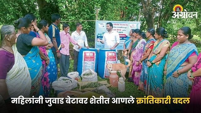 Agrowon - Latest Agriculture News in Marathi | कृषीविषयक बातम्या