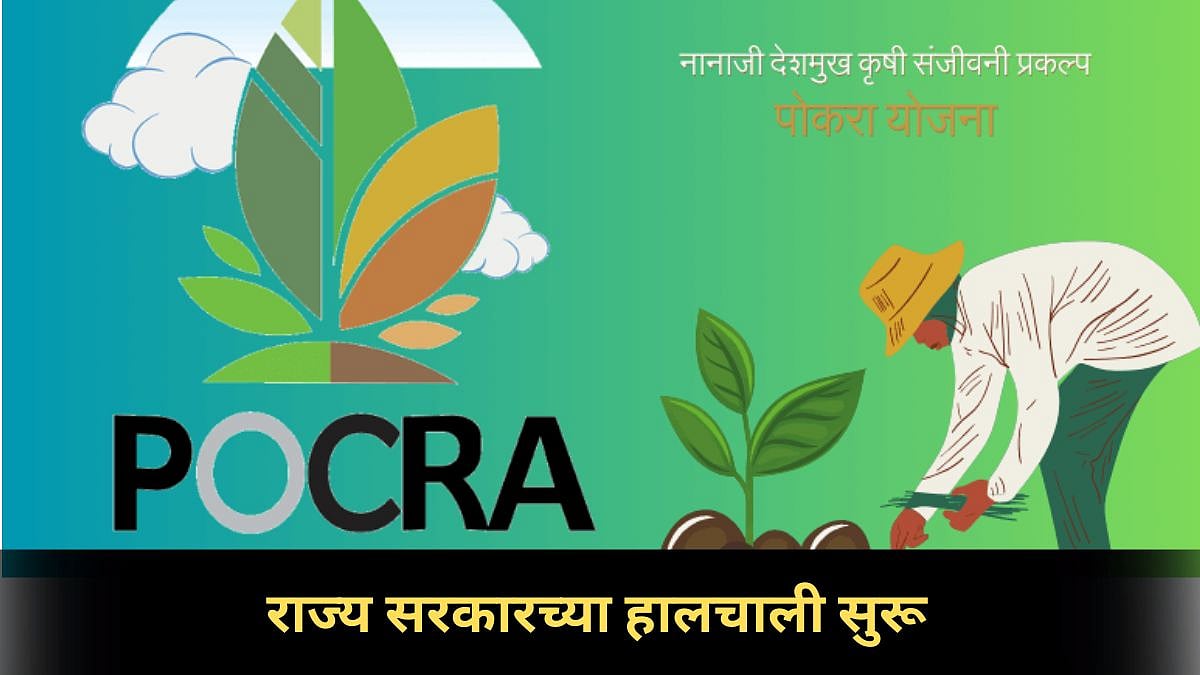 Pocra 2 | पोकराचा दुसरा टप्पा राबण्यात येणार; राज्य सरकारच्या हालचाली ...