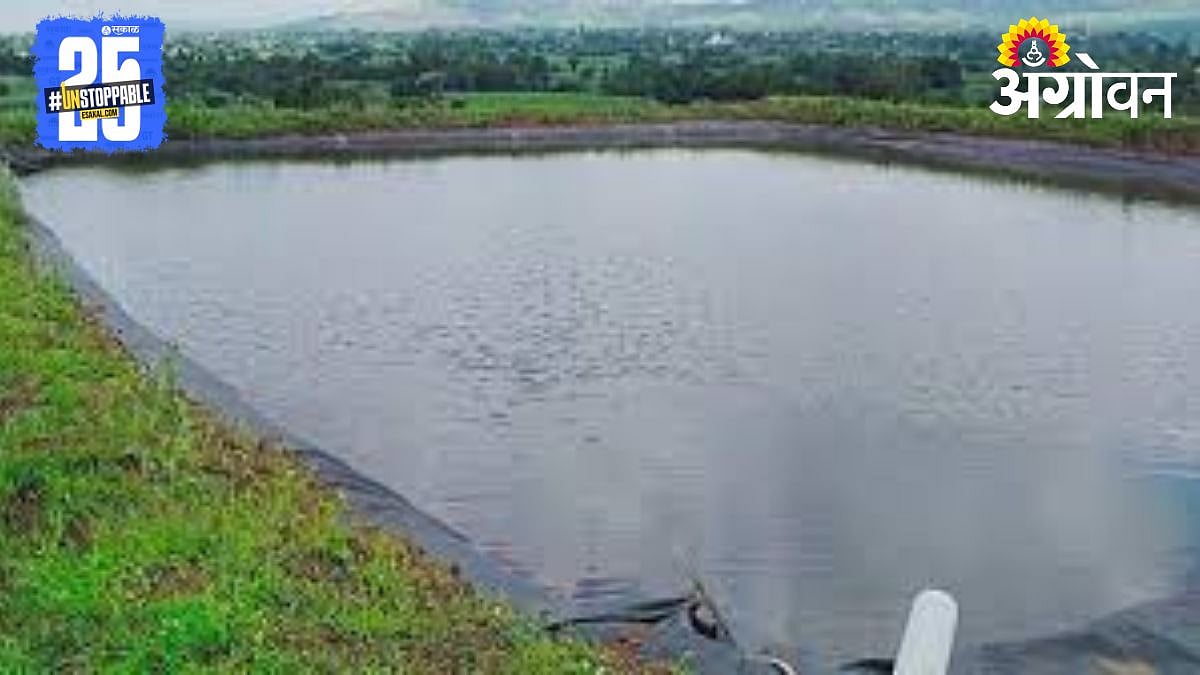 Farm Pond Subsidy । ‘मागेल त्याला शेततळे’च्या अनुदानात वाढ करण्याचा ...