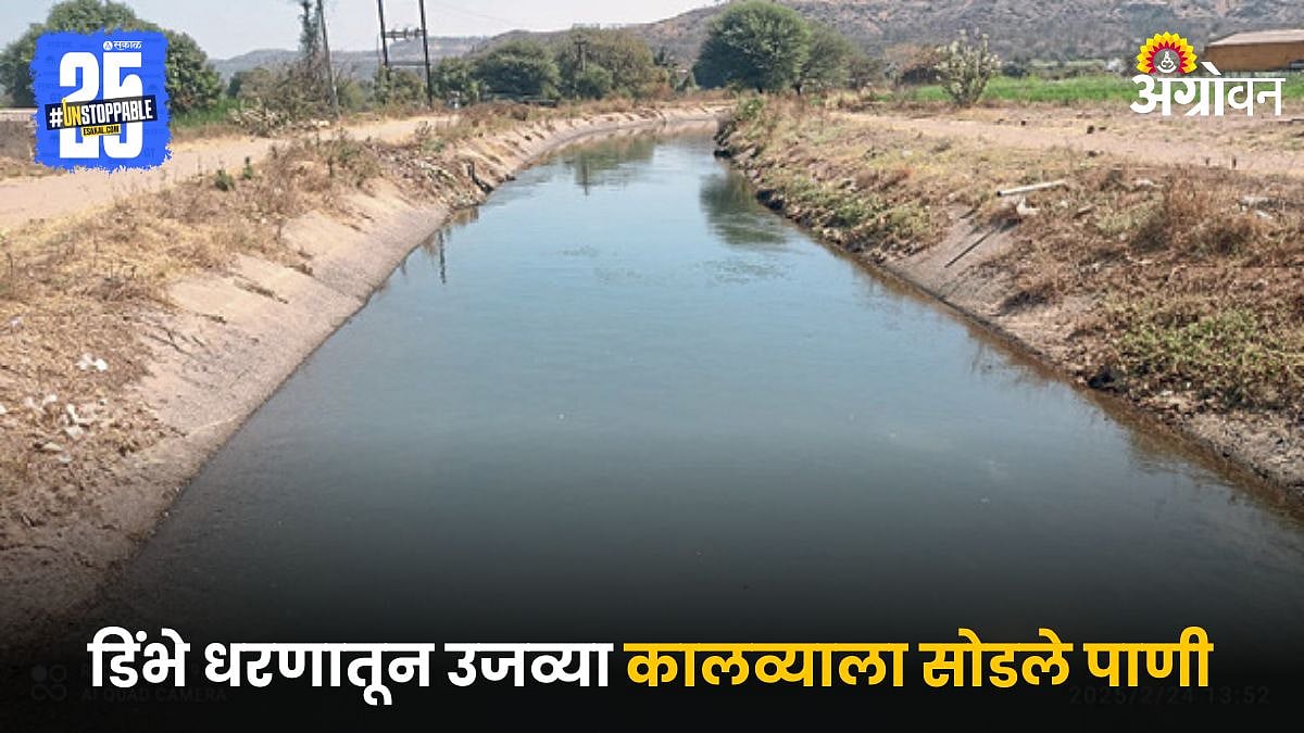 Dimbhe Dam | डिंभे धरणातून उजव्या कालव्याला सोडले पाणी! ४५ गावांच्या ...
