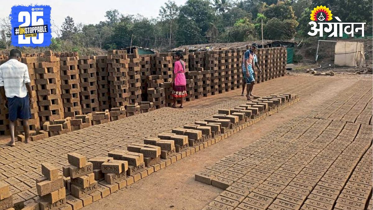 Brick Labor । वाढत्या बांधकामासोबत वीटभट्टी कामगारांचे दु:खही वाढले ...