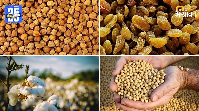 Agriculture News | Latest Agriculture News in Marathi | कृषीविषयक ...