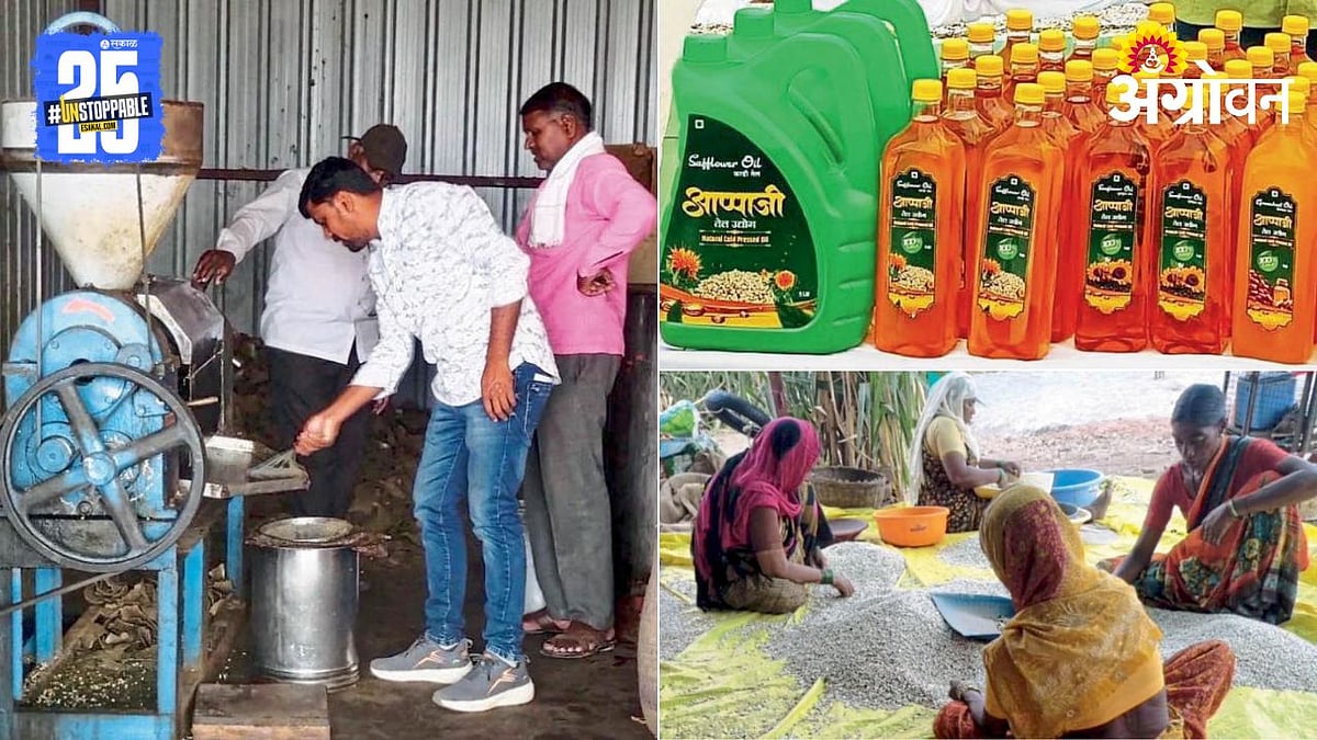 Kardai Oil Production । करडई तेलनिर्मितीला दिली चालना । From Farming to ...