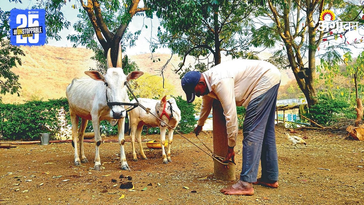Harani Cow: ‘हरणी’ गेली दुसरे रूप सोडून...