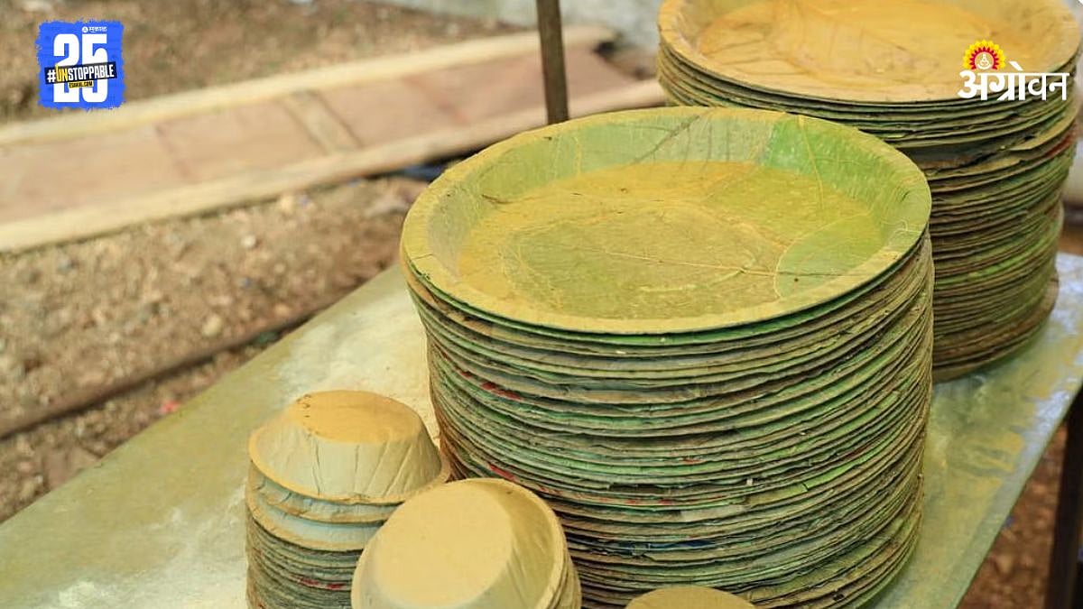 Patravali Making Business : पत्रावळ्या कालबाह्य झाल्‍याने हिरावला ...