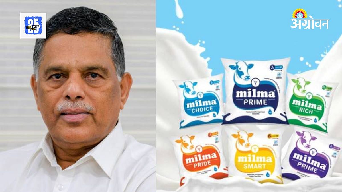 Milma Targets ₹10,000 Crore Turnover by 2030, Says Chairman Mani| Milma ...