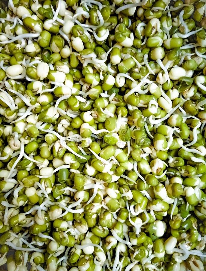 Sprouted Pulses | मधुमेहींसाठी वरदान; मोड आलेल्या कडधान्यांचे ८ फायदे ...
