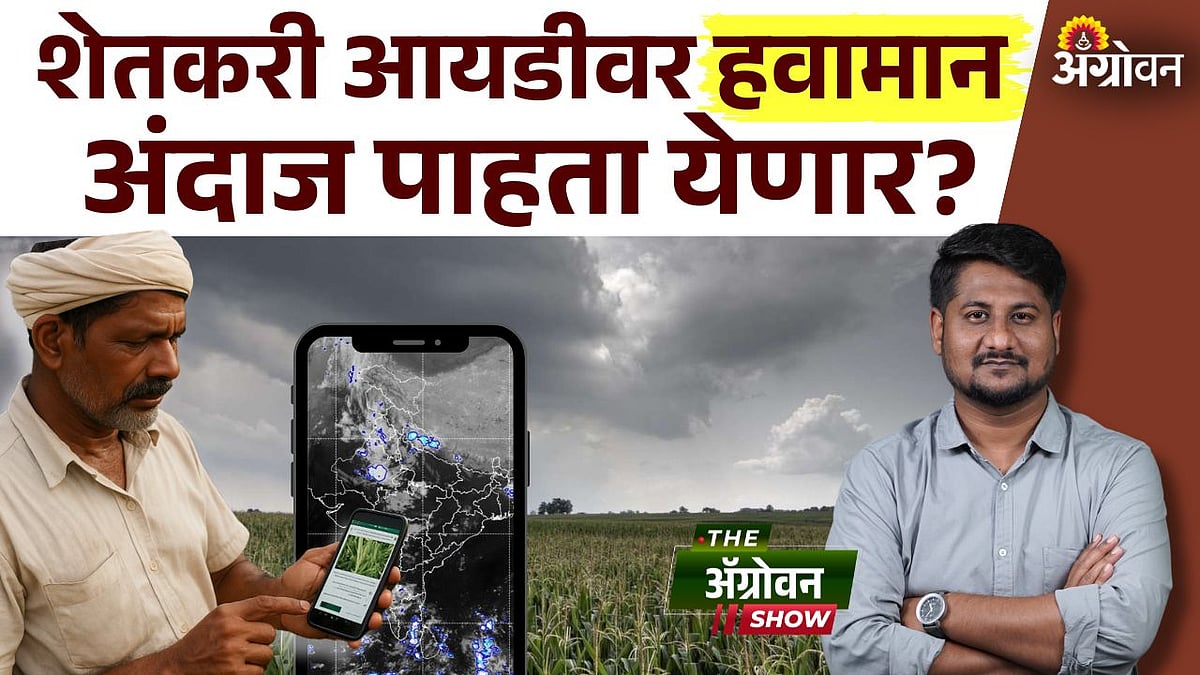 How to check weather with farmer ID: शेतकरी आयडीवर हवामान अंदाज पाहता ...