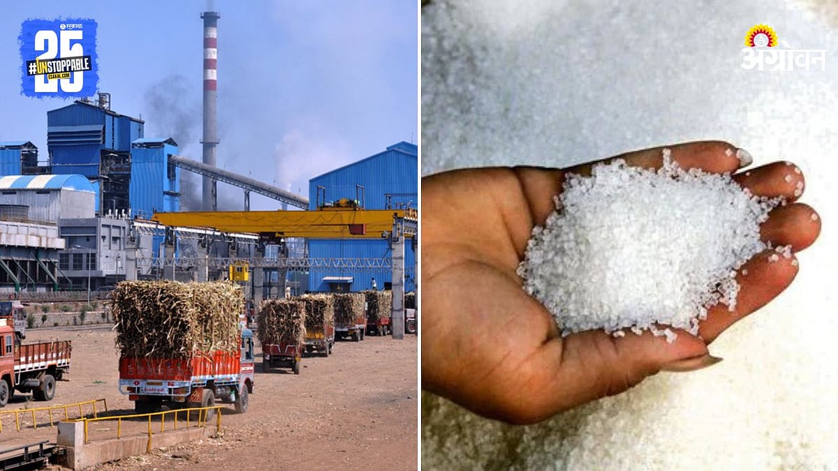 Sugar Conference | राज्यस्तरीय साखर परिषदेचे पुण्यात शुक्रवारी आयोजन ...