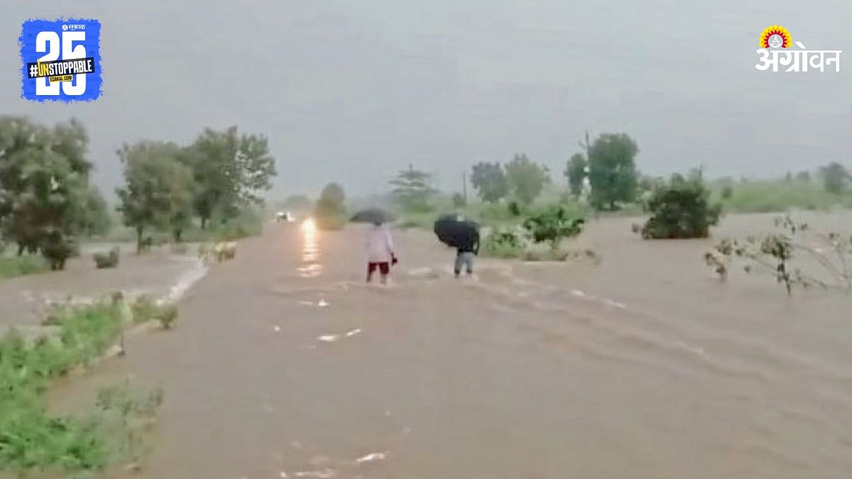Nanded Rain | नांदेड जिल्ह्यातील नऊ मंडलांत अतिवृष्टीची नोंद | Heavy ...