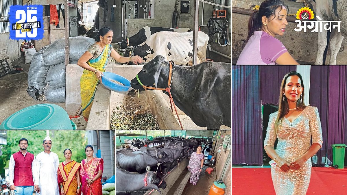 Dairy Farming Success । दुधाच्या घागरीतून उमललेला आत्मसन्मान । From Cow ...