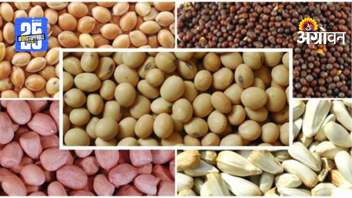 Indian Seed Industry | तीन हजारांवर सामंजस्य करार | 3,000+ MoUs Signed ...