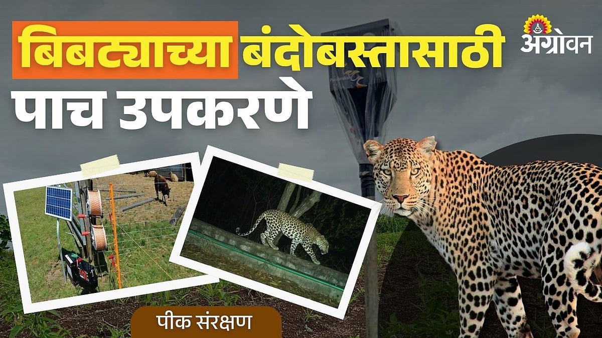 wildlife protection tools: बिबट्याच्या बंदोबस्तासाठी ५ उपकरणे | Top 5 ...