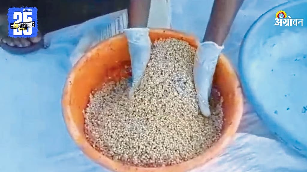 Seed Treatment | पीक पेरणीपूर्वी बीजप्रक्रिया महत्त्वाची | Seed ...