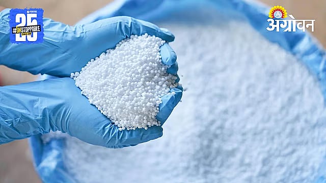 Urea Demand| खानदेशातील अनेक भागांत युरियाला मागणी|Jalgaon Khandesh ...