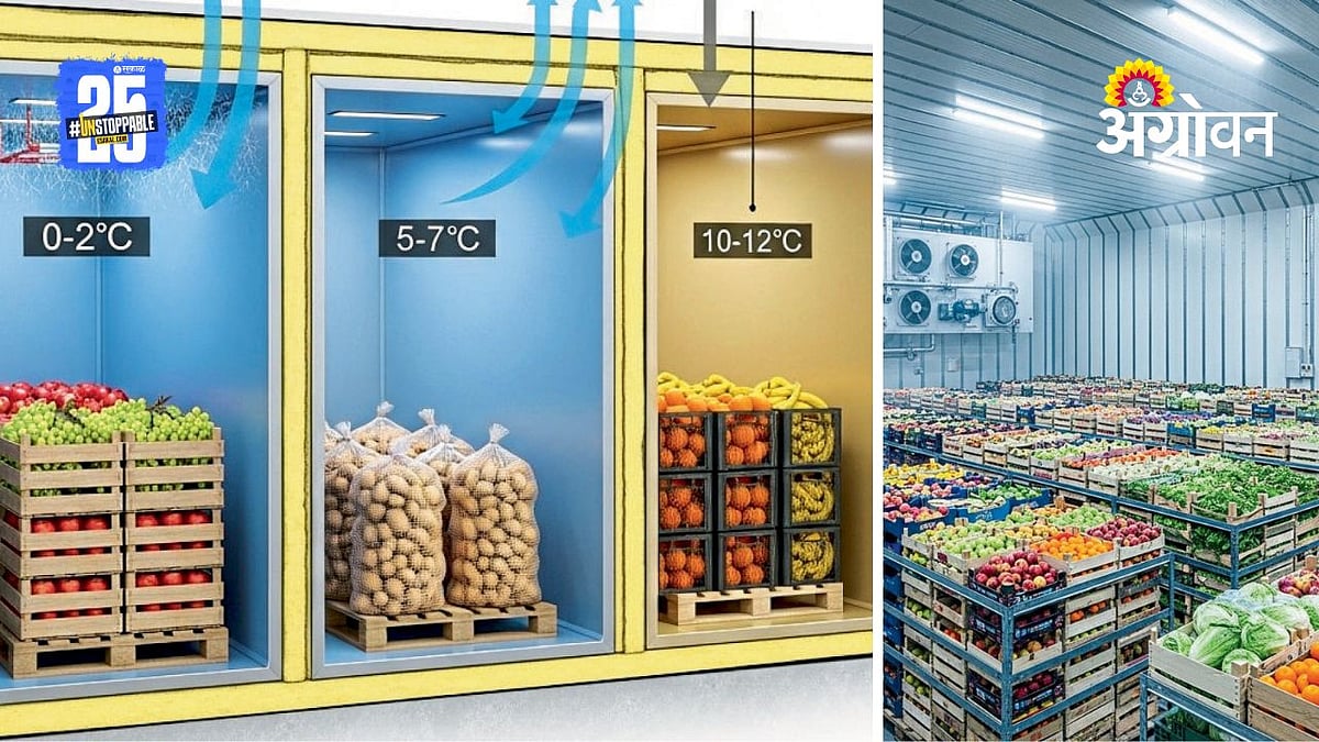 Cold Storage | शेतीमाल साठवणीसाठी आधुनिक शीतगृह | Cold Chain Technology ...