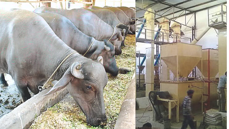 animal food - पशुखाद्य तयार करण्यासाठी फॅमिली फीड मिलर