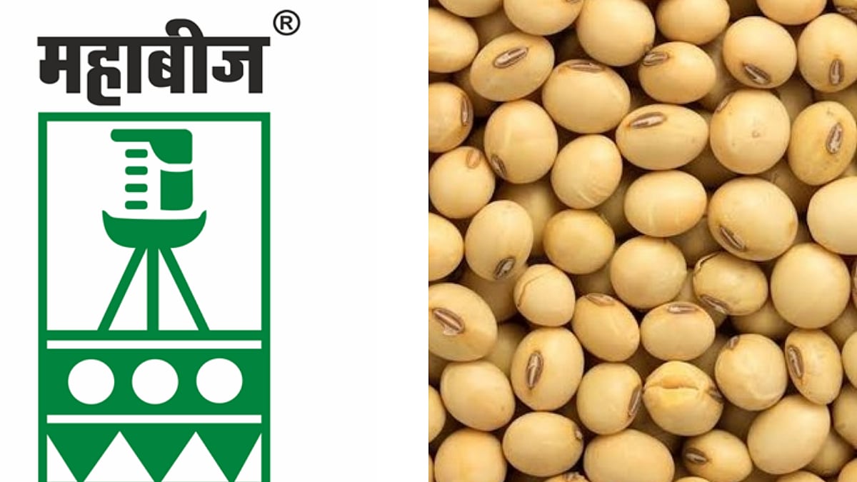 Mahabeej Soybean Rate|महाबीजच्या सोयाबीन बियाण्याला दरवाढीची ‘फोडणी’