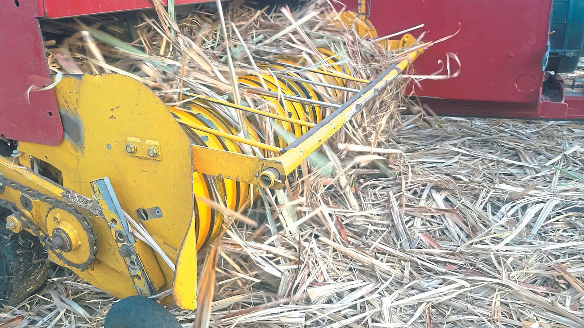 Sugarcane Trash Management । सेंद्रिय कर्ब वाढीसाठी पाचट व्यवस्थापन ...