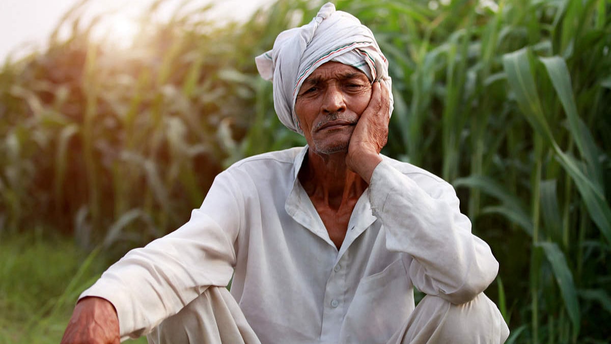 Farmers Issue | शेतकऱ्यांभोवती संकटांचा पाश कायम! | The cycle of crisis ...