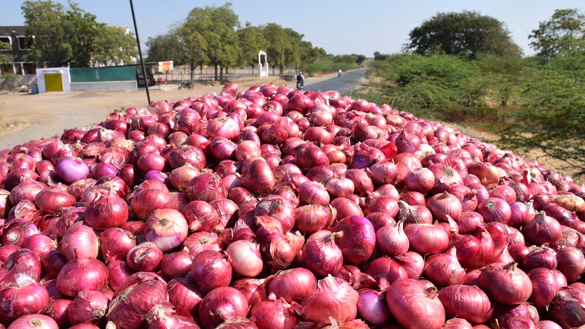 Onion Rate | कांद्याला प्रति क्विंटल तीन हजार दर देण्याची मागणी ...