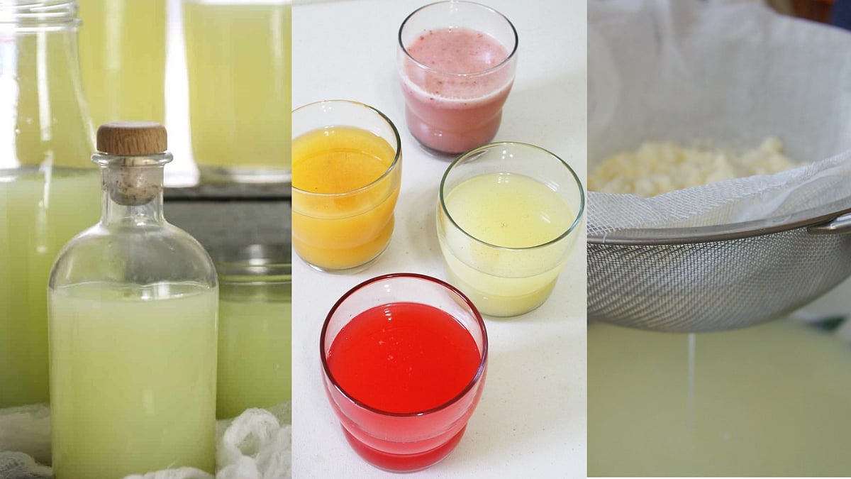 whey पासून बनवा शीतपेय ! | paneer whey recipe |whey protein