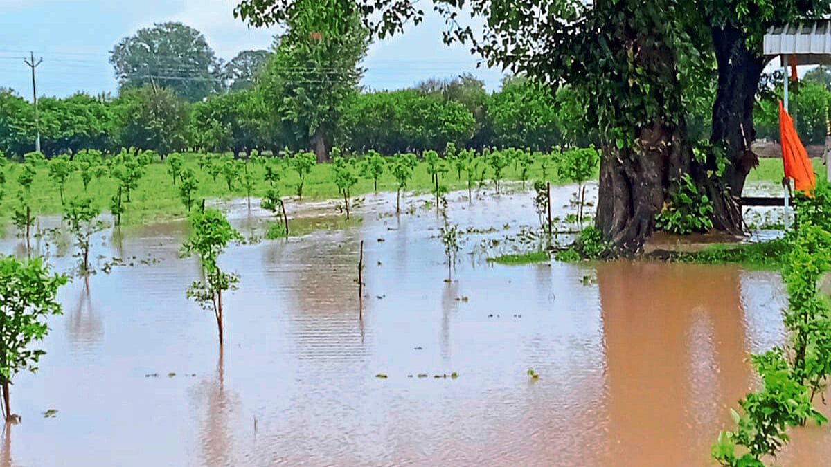 Crop Damage Report : एप्रिलच्या ‘अवकाळी’मुळे सव्वा लाख हेक्टरवरील पिके ...