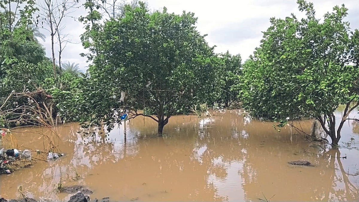 Avkali Paus : वीस हजार हेक्टरवरील पिके नष्ट|Crops on 20,000 hectares destroyed