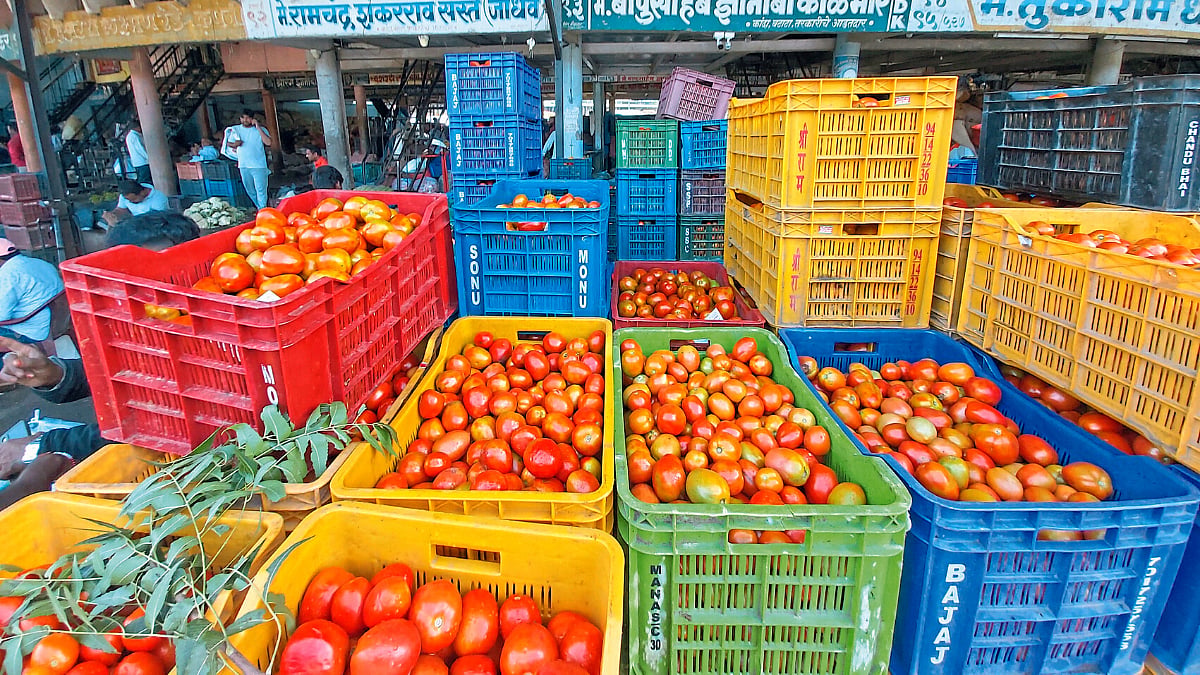 बहुतांश भाजीपाल्यांचे दर स्थिर । Vegetable Market Rate