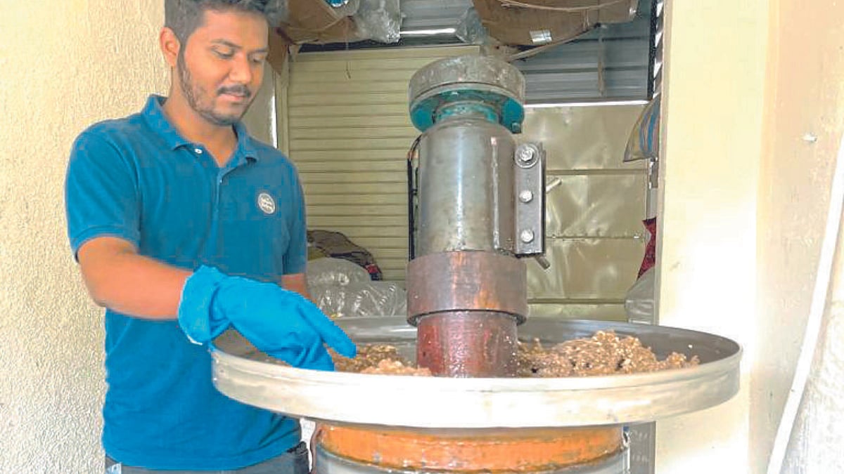 लाकडी तेलघाणा उद्योगातून उभे राहतेय आशादायक चित्र । Lakadi Tel Ghana