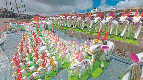 Kolhapur Bail Gada sharyat । बैलगाडा शर्यतीचा थरार आणि बदललेला गावगाडा ...