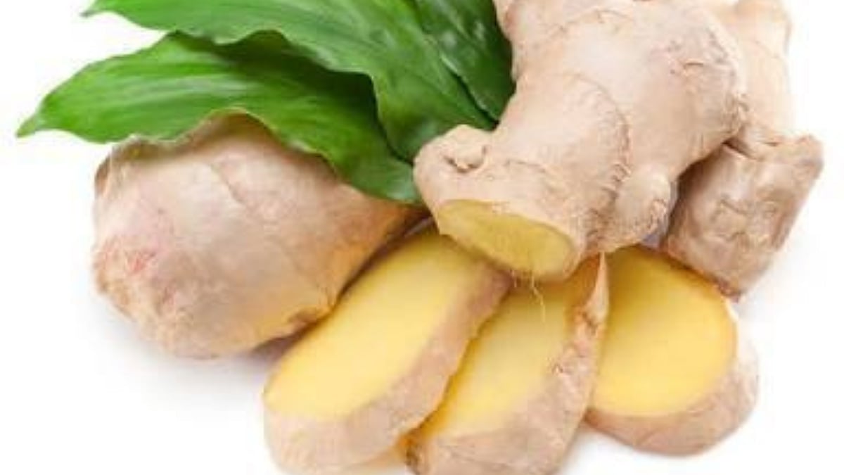 Jinger Processing : आल्यापासून सुंठ कशी तयार करायची?|How to make suntha ...