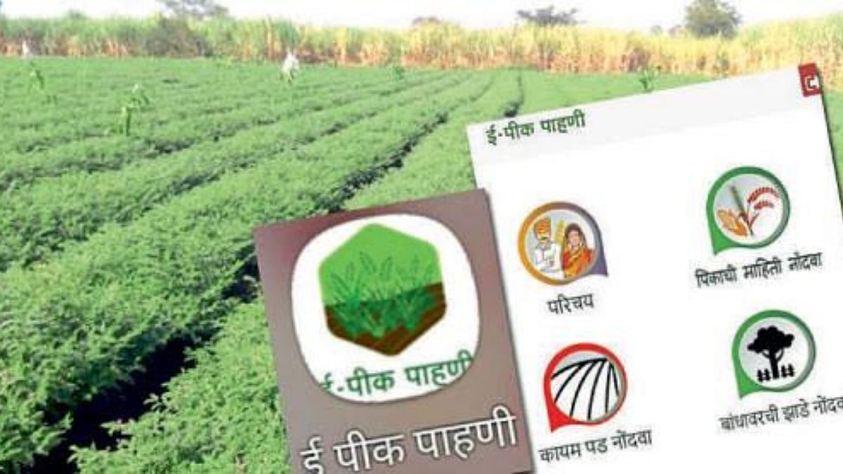 E-Peek Pahani : अकरा हजार शेतकऱ्यांची ई-पीकपाहणी पूर्ण | eleven ...