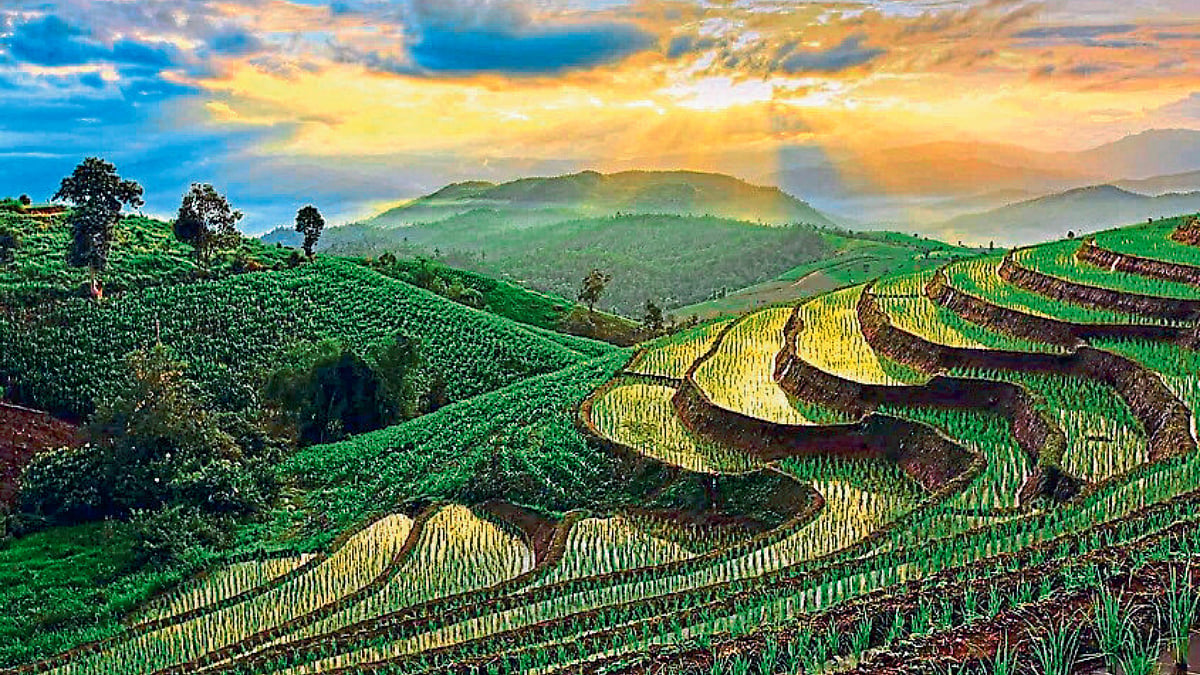 उतारावरील शेतीसाठी ‘कंटूर फार्मिंग’ । Contour Farming
