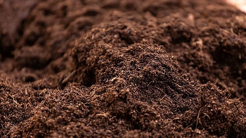 जमिनीचे शाश्वत व्यवस्थापन । Soil Management