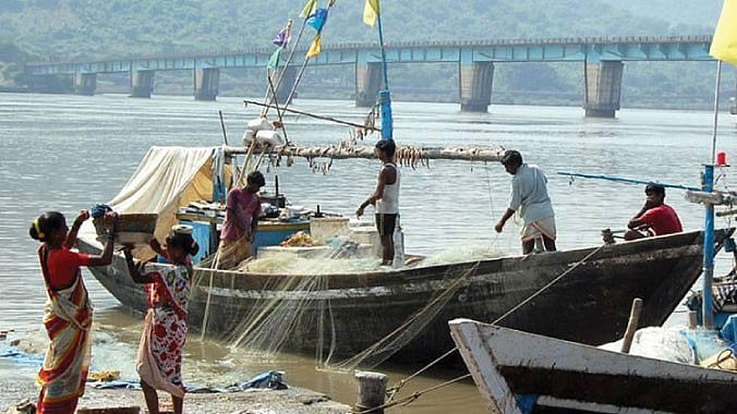 Fish Farming : मत्स्य उत्पादक संस्था,कंपन्यांना व्यवसाय संधी|Business ...