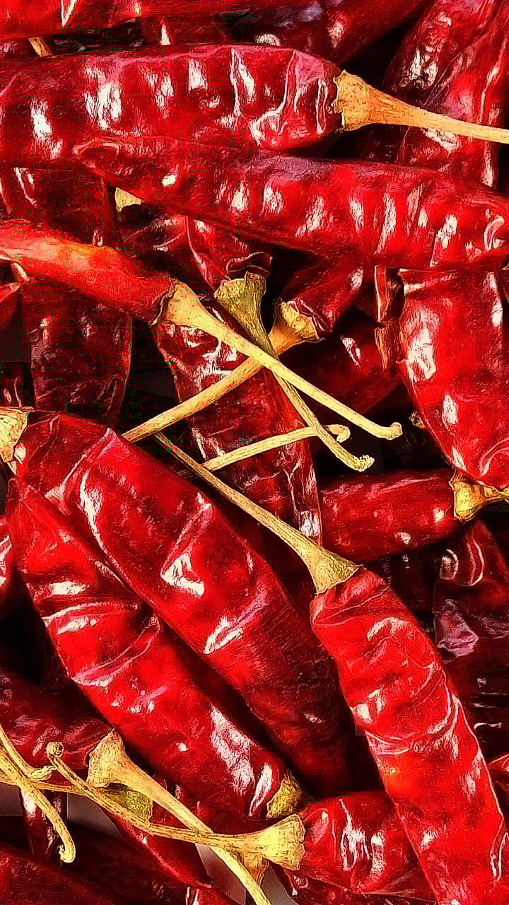 Chilli Rate : पाकिस्तानमधील मिरची हब उद्धवस्त