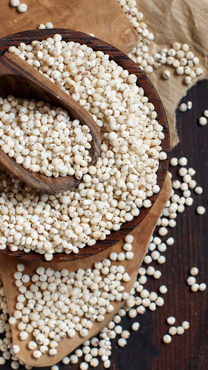 ज्वारीचे महत्त्व वाढतेय|Importance Of Jowar