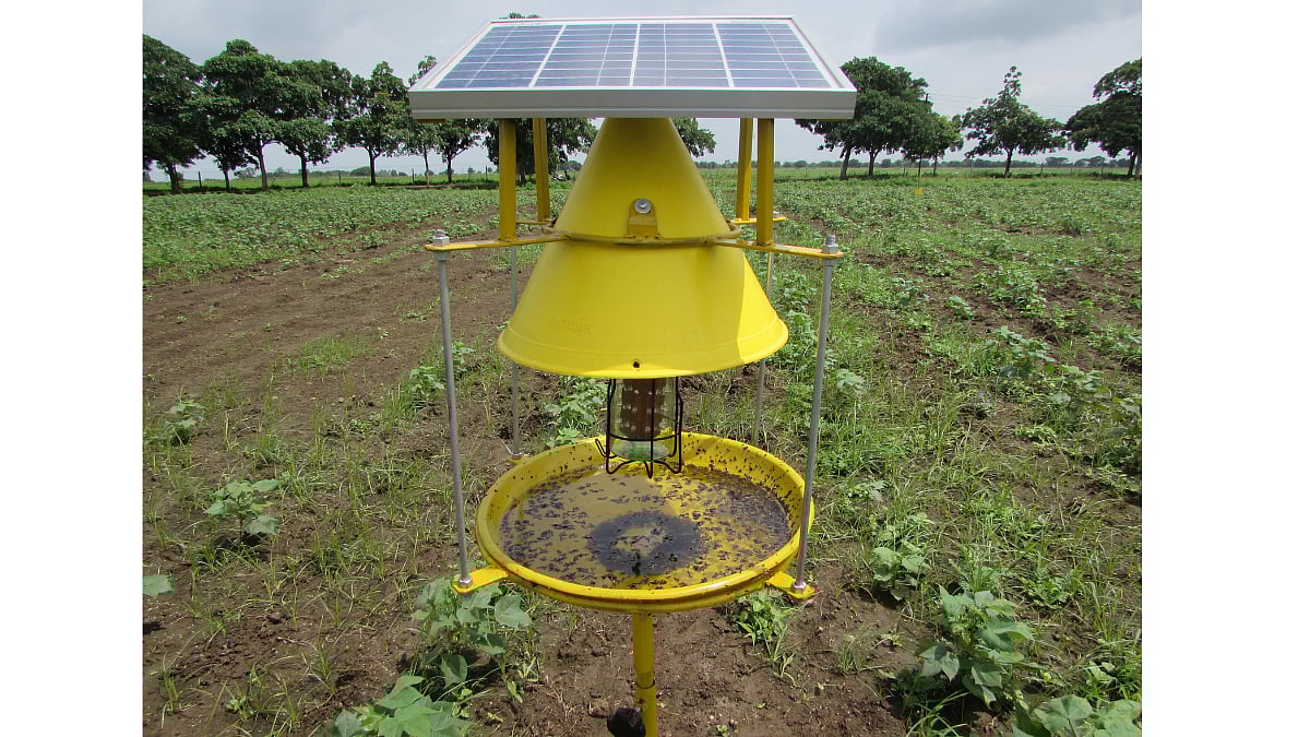 सौर प्रकाश कीटक सापळ्यांचे विविध प्रकार|Different types of solar light ...