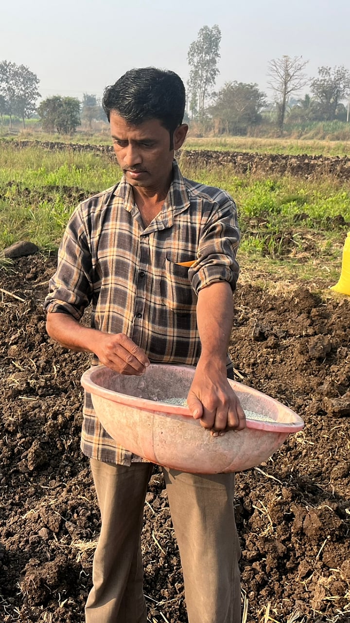 Soybean Sowing | उन्हाळी सोयाबीनची पेरणी