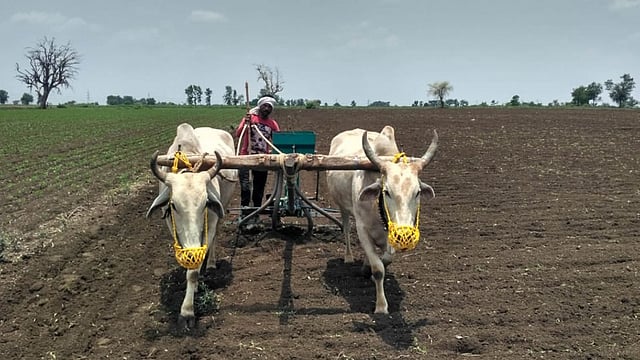Soil Health| काळ्या आईला वाचवायला हवे | Saving agriculture is the need ...